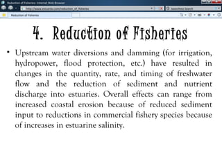 Challenges do our estuaries face | PPT