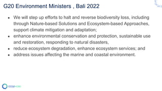 Challenges for biodiversity conservation.pdf