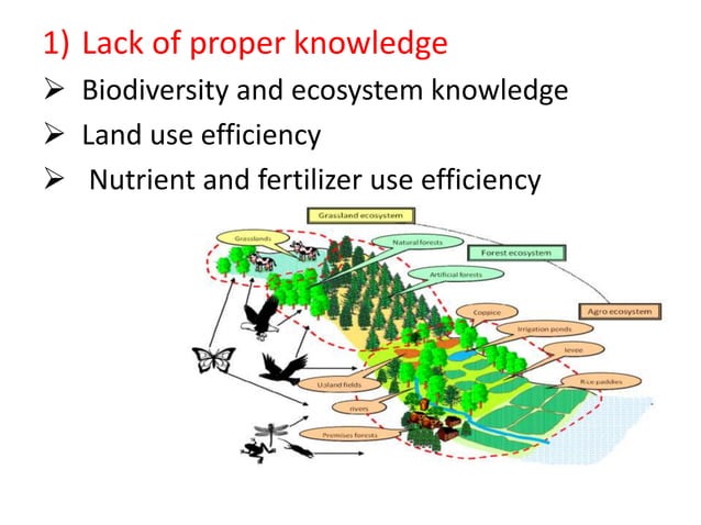 Challenges in alternative system approch | PPT