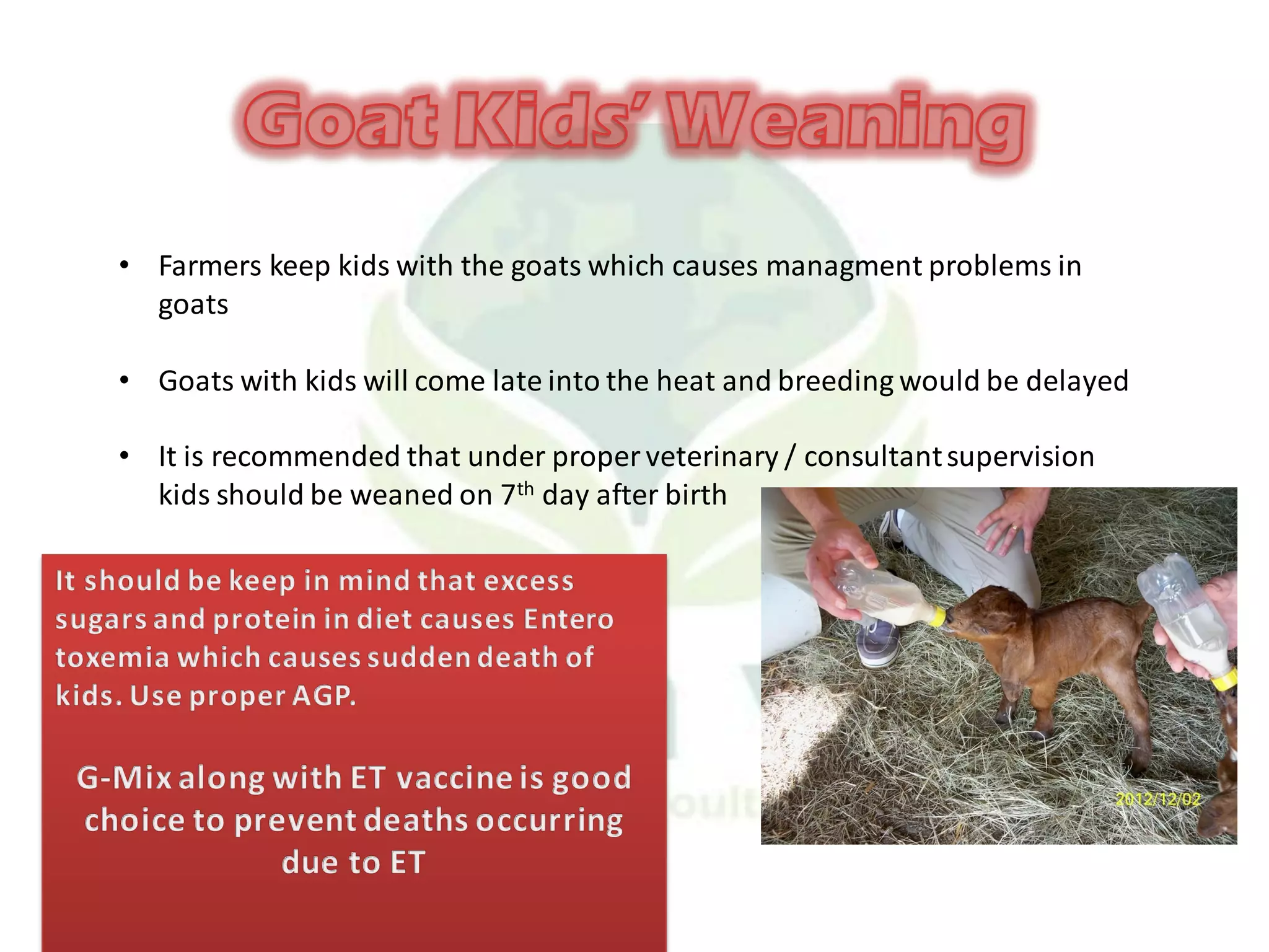 Challenges in goat farming in india - Goat Farming Consultancy | PDF