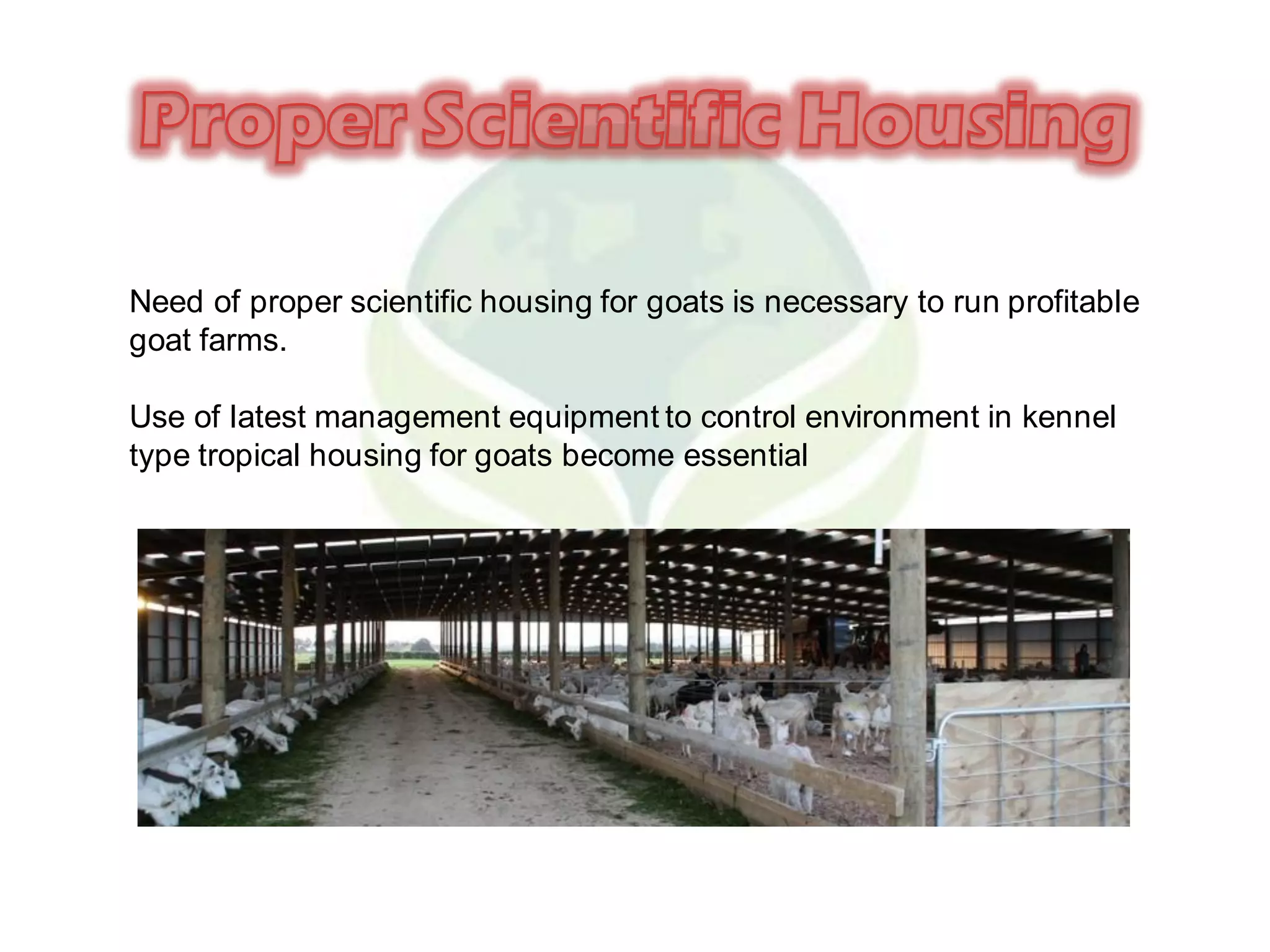 Challenges in goat farming in india - Goat Farming Consultancy | PDF
