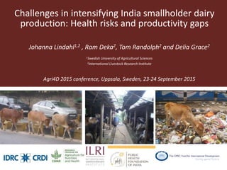 Challenges in intensifying India smallholder dairy production: Health ...