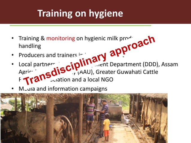 Challenges in intensifying India smallholder dairy production: Health ...