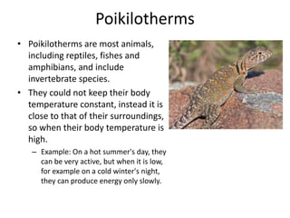 Challenges of life in the sea | PPTX