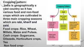 challenges on indian agriculture.pptx