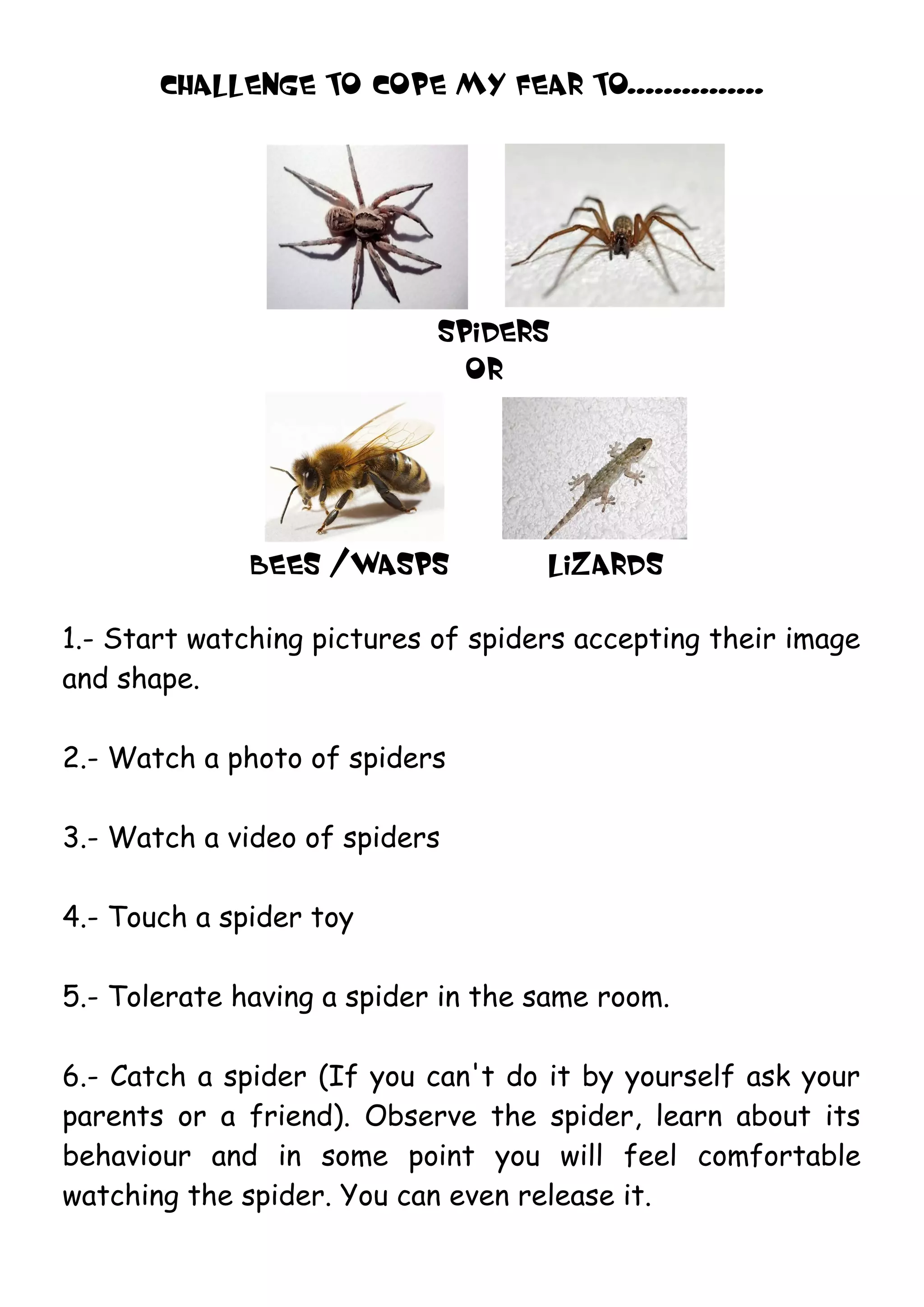 Challenge to cope my fear to spiders, bees, wasps, lizards | PDF