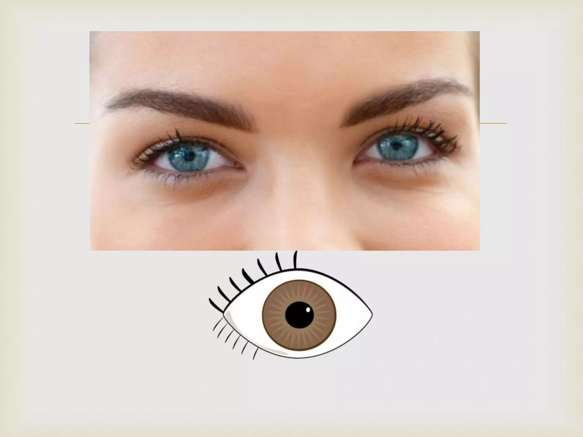 Challenging classical divides | PPTX