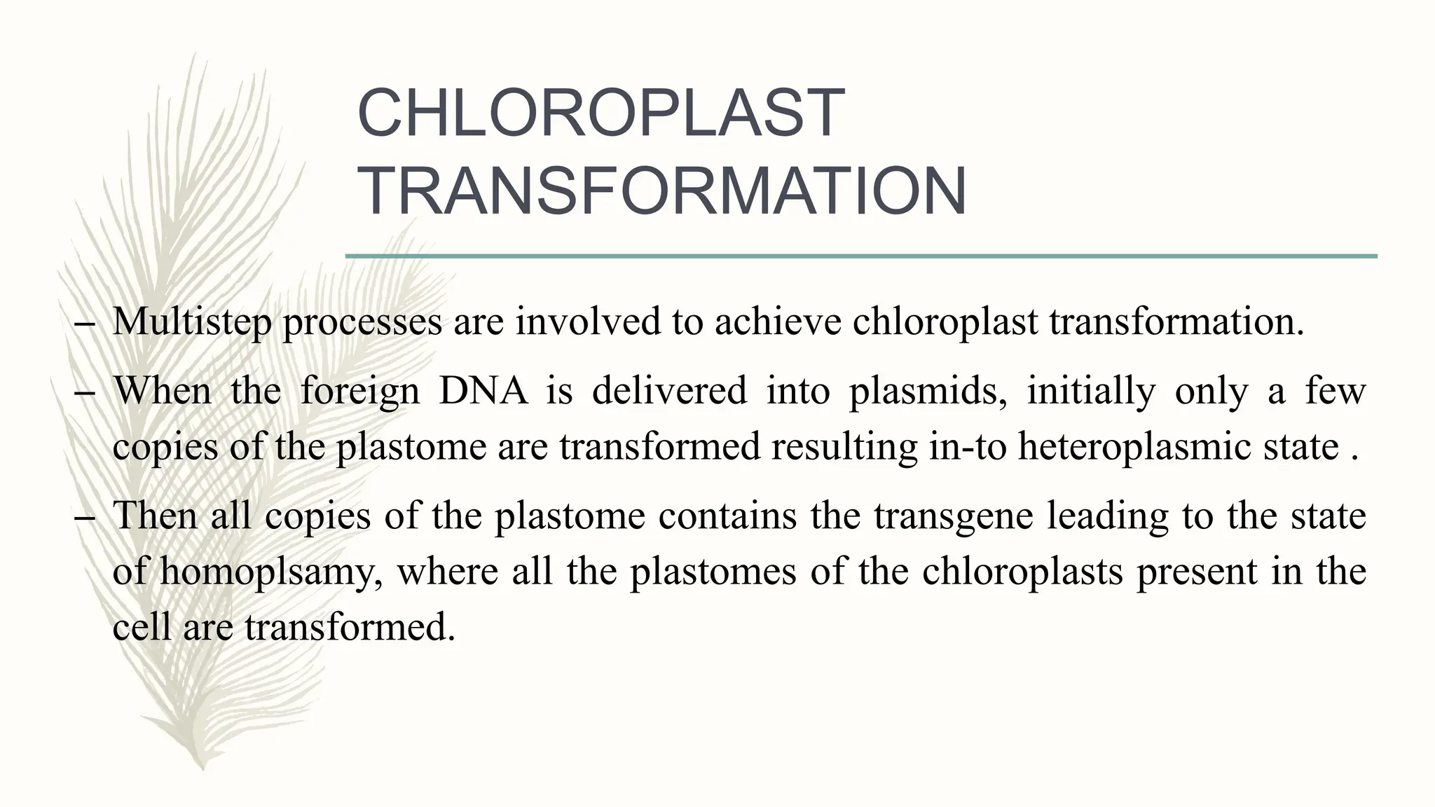 CHALOROPLAST TRANSFORMATION.pptx