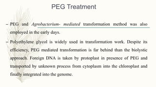 CHALOROPLAST TRANSFORMATION.pptx