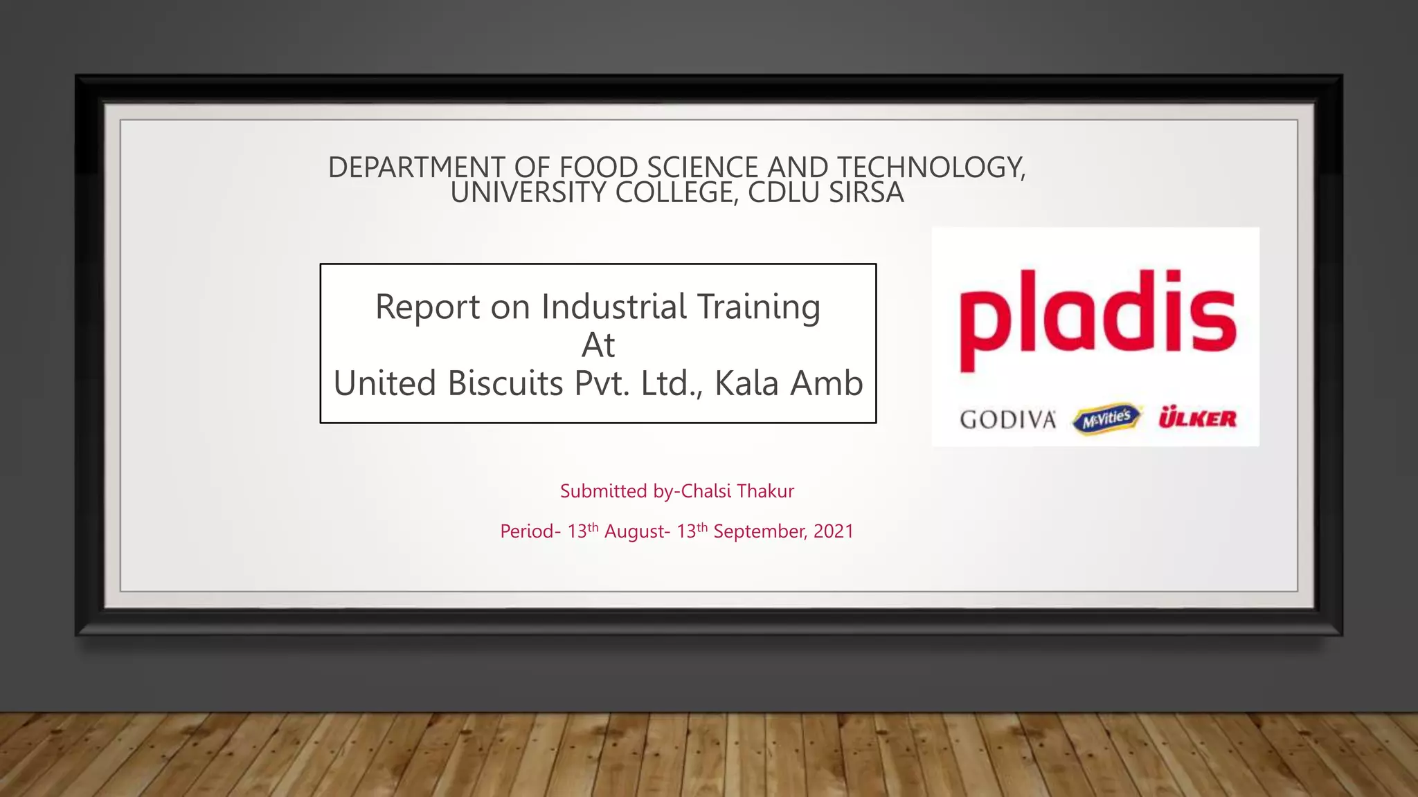 CHALSI PROJECT REPORT.pptx