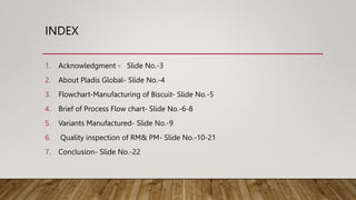 CHALSI PROJECT REPORT.pptx