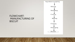 CHALSI PROJECT REPORT.pptx
