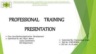 about java banking application department | PPTX