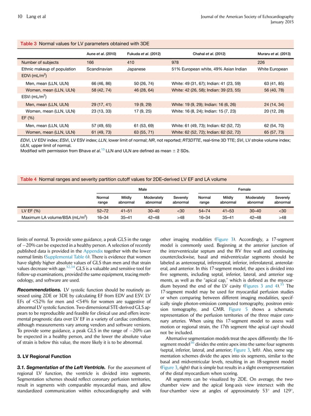Chamber Quantification 2015 | PDF | Heart and Cardiovascular Diseases ...