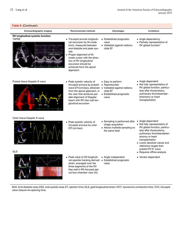 Chamber Quantification 2015 | PDF | Heart and Cardiovascular Diseases ...