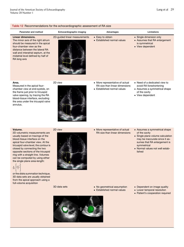 Chamber Quantification 2015 | PDF | Heart and Cardiovascular Diseases ...