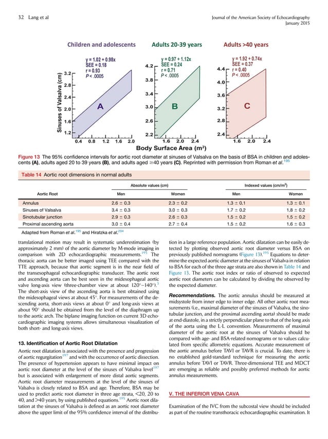 Chamber Quantification 2015 | PDF | Heart and Cardiovascular Diseases ...