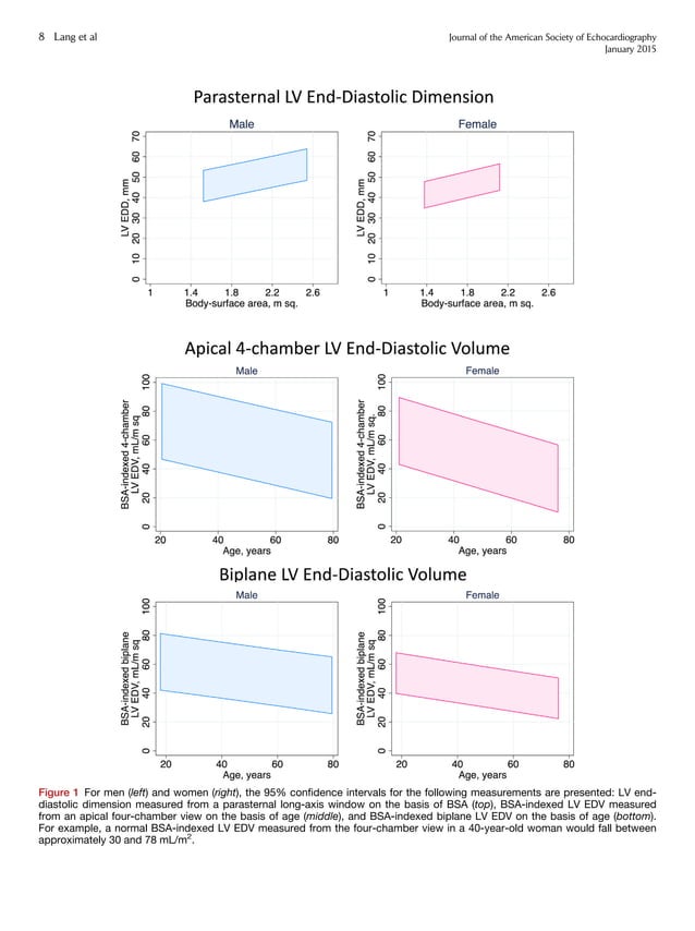 Chamber Quantification 2015 | PDF | Heart and Cardiovascular Diseases ...