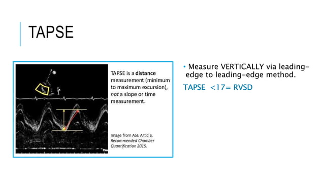 Chamber quantification by echo for ER and IM.pptx