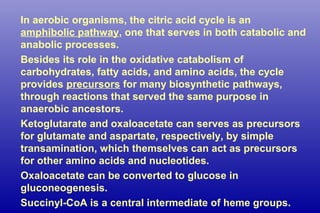 Citric Acid Cycle-Anaplerosis | PPT