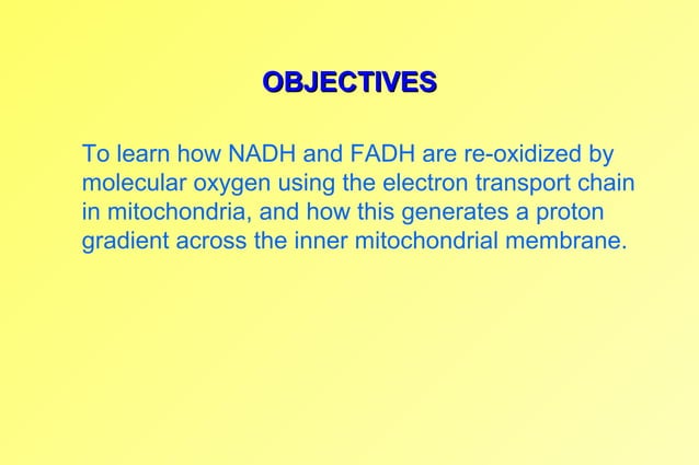 Electron Transport and Oxidative Phosphorylation | PPT | Chemistry | Science