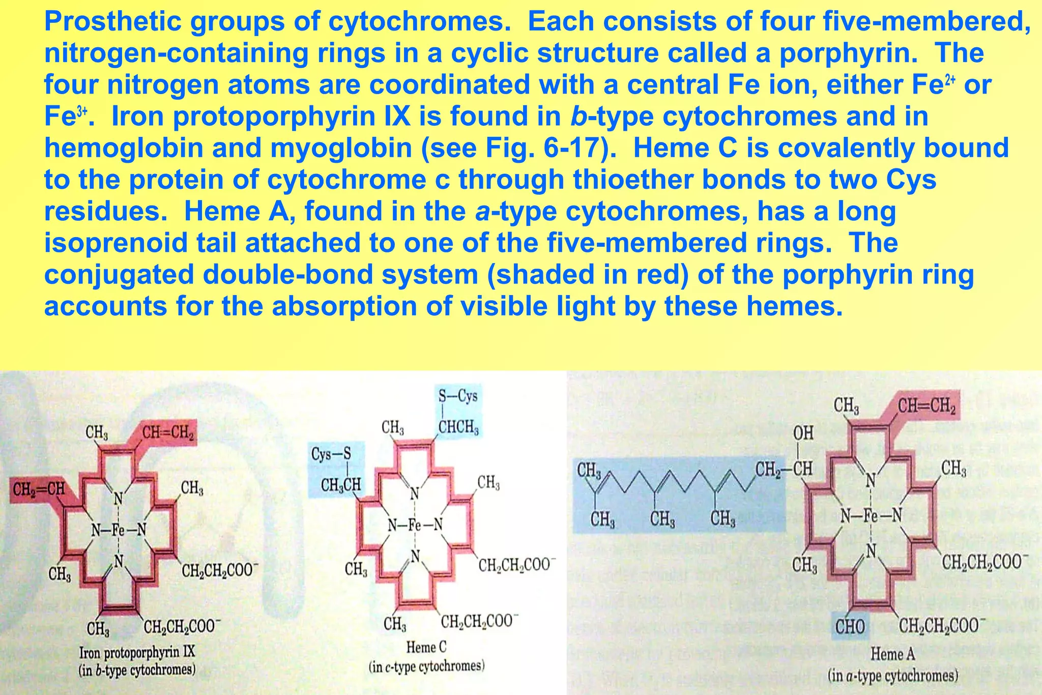 Ubiquinone (Coenzyme Q, or Q) Electron Carrier | PPT