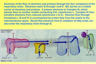 Ubiquinone (Coenzyme Q, or Q) Electron Carrier | PPT