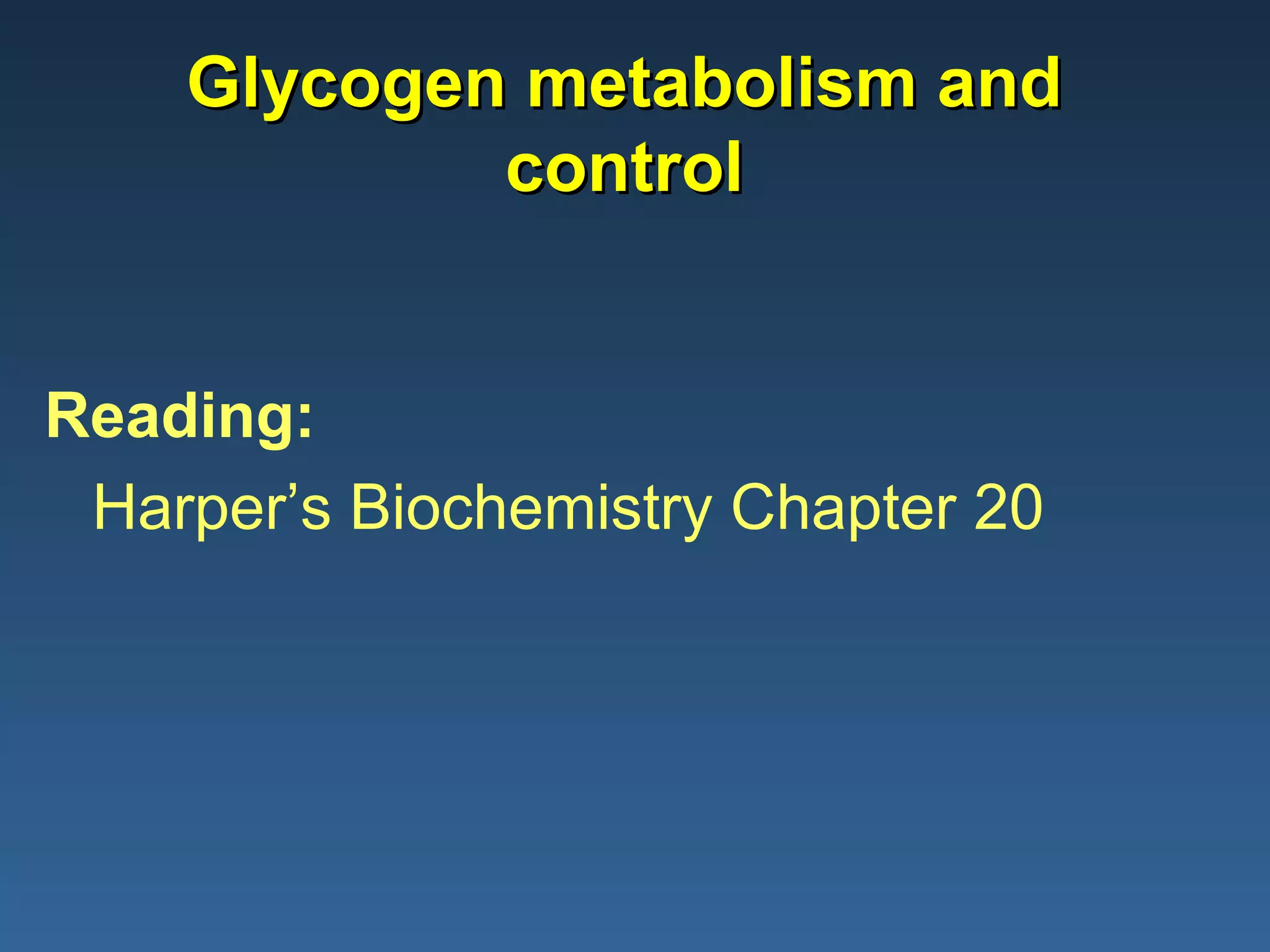 Glycogen Metabolism and Control | PPT