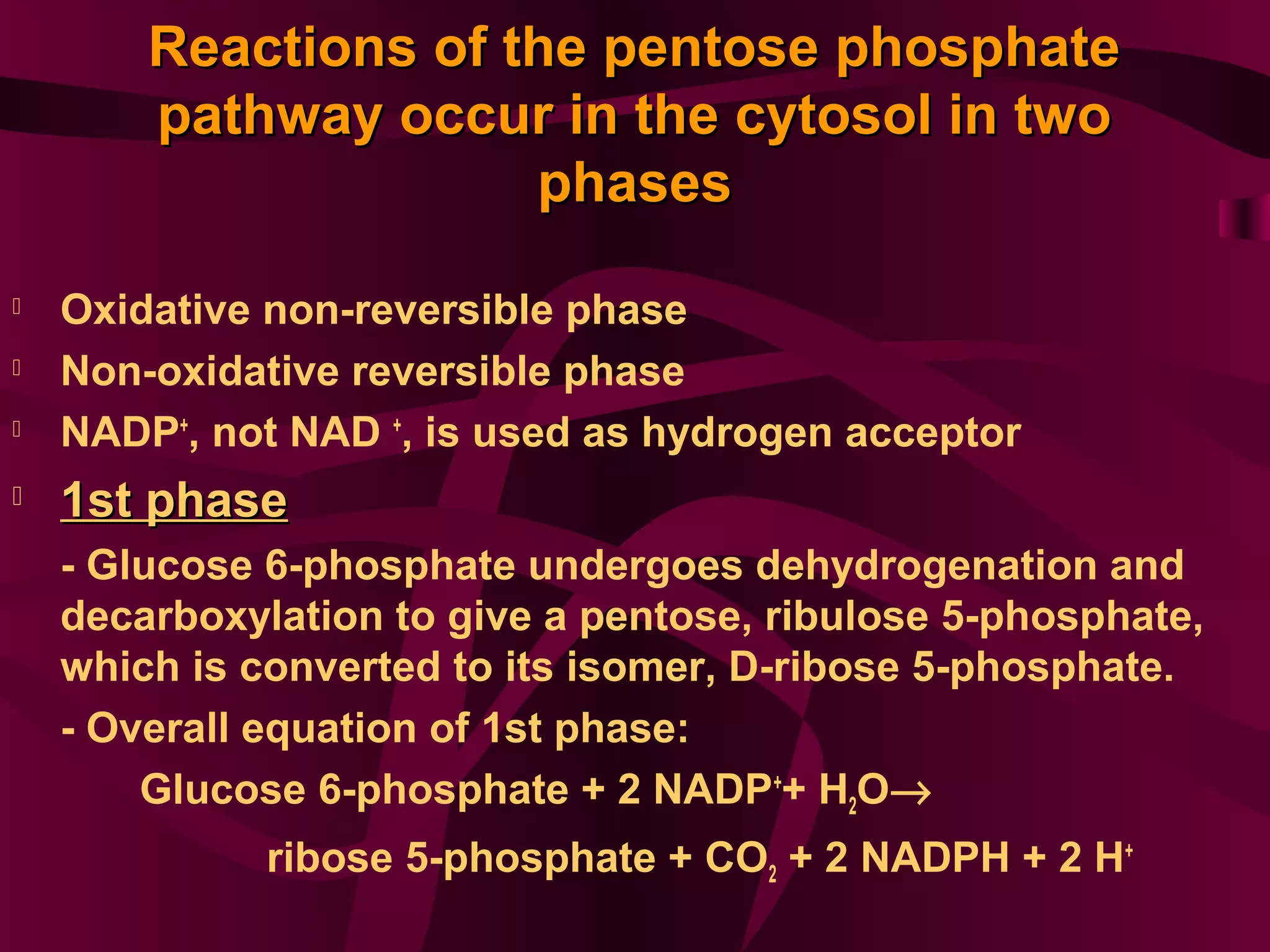 Pentose Phosphate Pathway (Hexose Monophosphate Shunt) | PPT