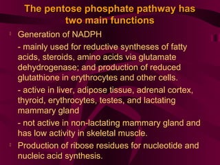 Pentose Phosphate Pathway (Hexose Monophosphate Shunt) | PPT