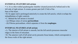 Chambers of heart | PPTX