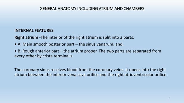 Chambers of heart | PPTX