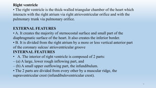 Chambers of heart | PPTX