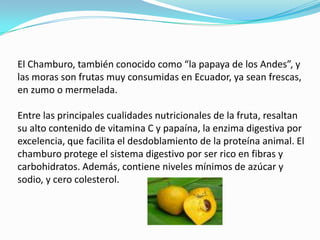 Chamburo | PPT