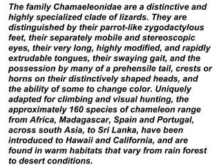 Chameleon | PPT