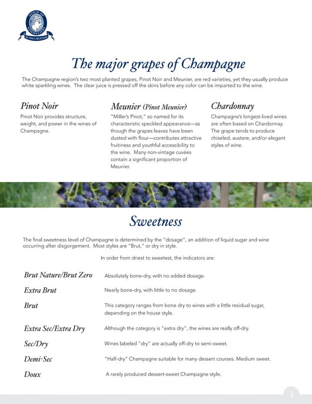 Champagne | PDF