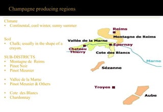 Champagne presentation | PPTX