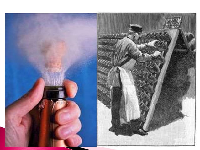 Champagne making process | PPT