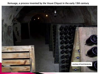 Champagne making process | PPTX