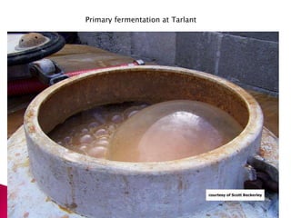 Champagne making process | PPTX