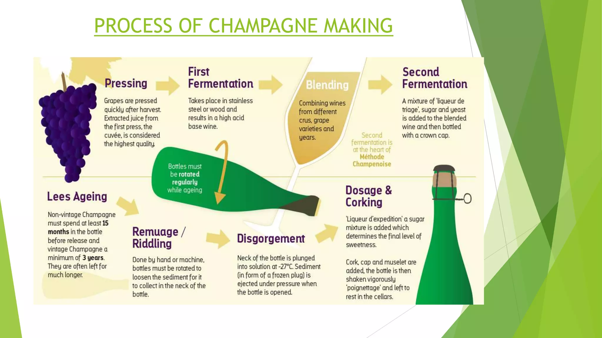 Champagne ppt | PPTX
