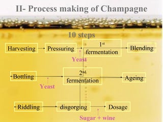 Champagne | PPT | Alcoholic Beverages | Food & Drink