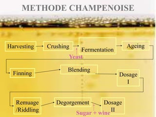 Champagne production/Methode champenoise | PPTX