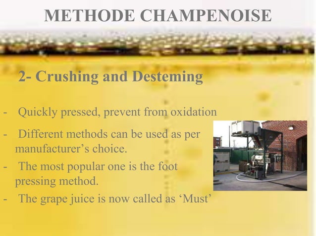 Champagne production/Methode champenoise | PPTX