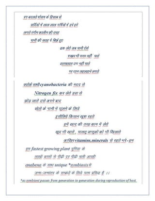 CHAMPION LILLIPUTS - SMALLEST : ANGIOSPERMS ; GYMNOSPERMS ;PTERIDPHYTES ...