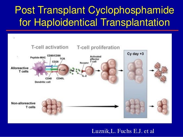 Alterative Donor HSCT