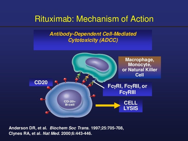 Rituximab Mechanism Of Action