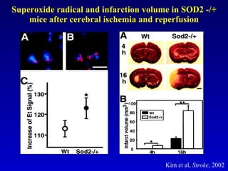 Chan Pak's Instagram, Twitter & Facebook on IDCrawl