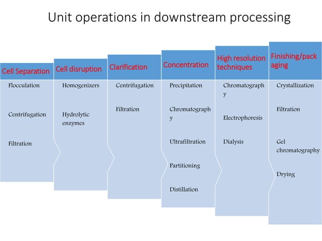 Down Stream Processing | PPTX
