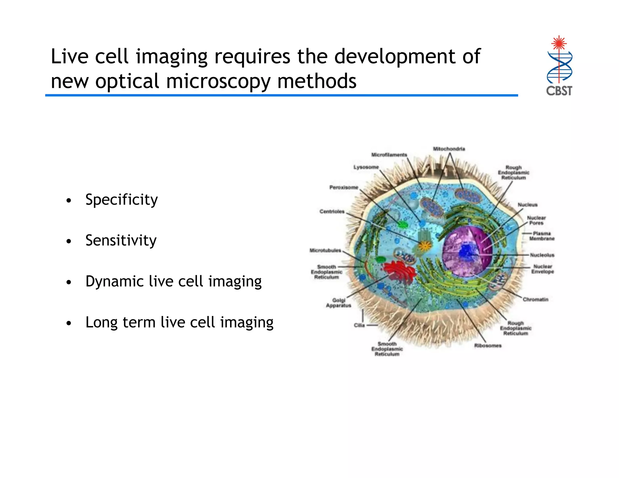 Raman and Coherent anti-Stokes Raman Scattering (CARS) Spectroscopy and ...